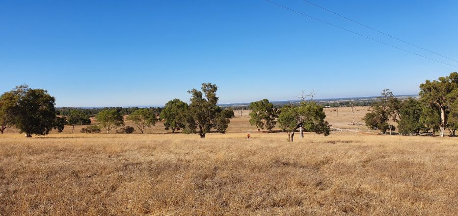 5 reasons why strategic site selection helps a project succeed | Land ...